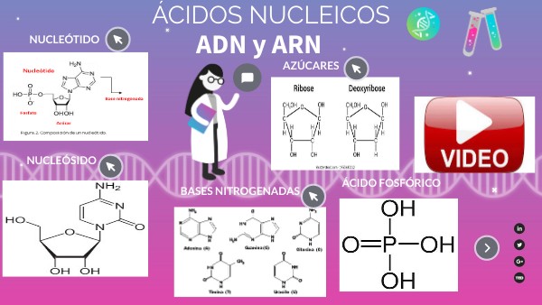 Ácidos nucleicos ADN y ARN | Genially
