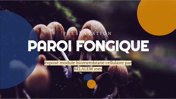 PAROI FONGIQUE | Genially