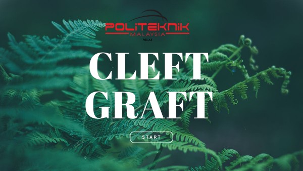 Copy - NATURE PRESENTATION | Genially