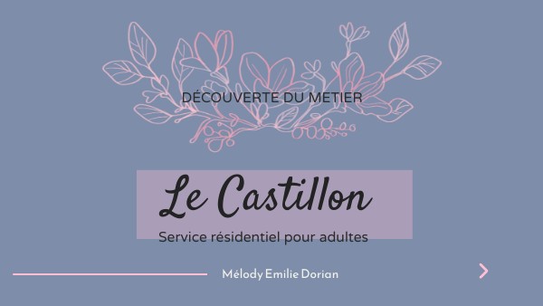 Le Castillon corrigé