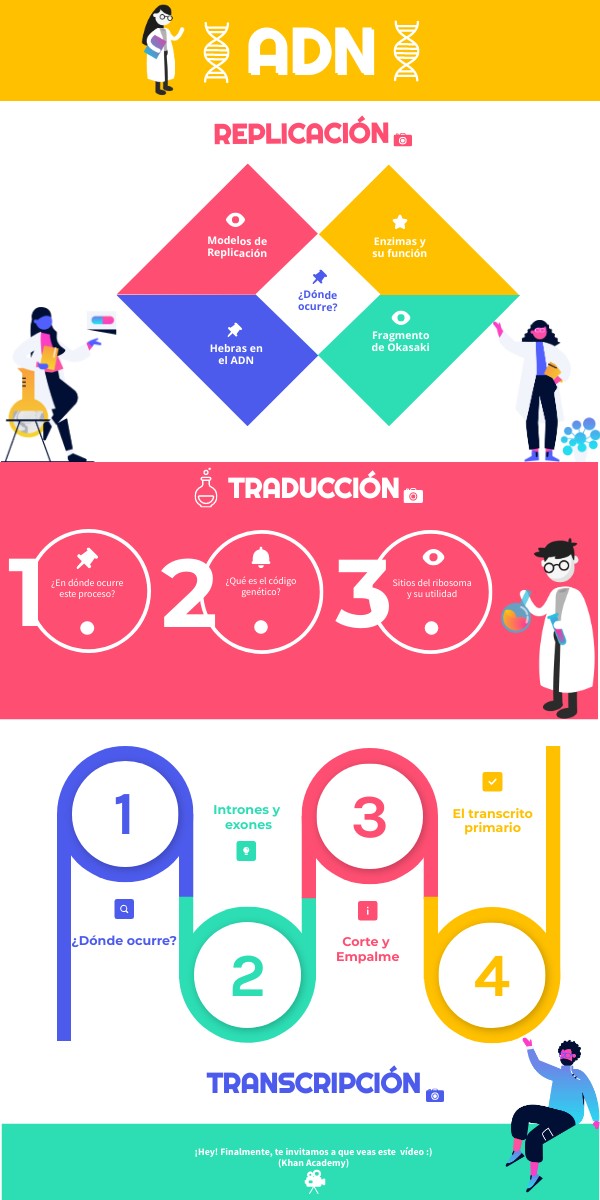 DEBER 3 - ADN | Genially