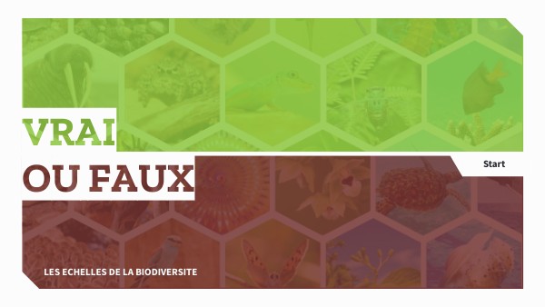 VRAI OU FAUX | Genially