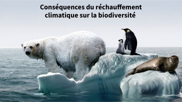 Conséquences du réchauffement climatique sur la biodiversité | Genially
