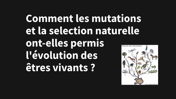 comment les lutation et la selection naturelle ont-elles permeis l'evo