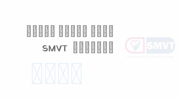 SMVT 1