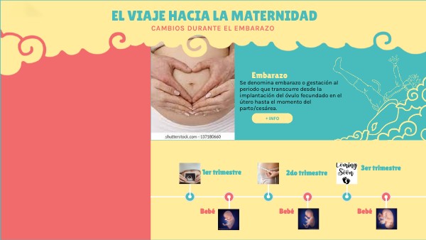 trimestres del embarazo | Genially