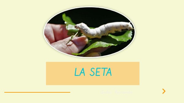 LA SETA