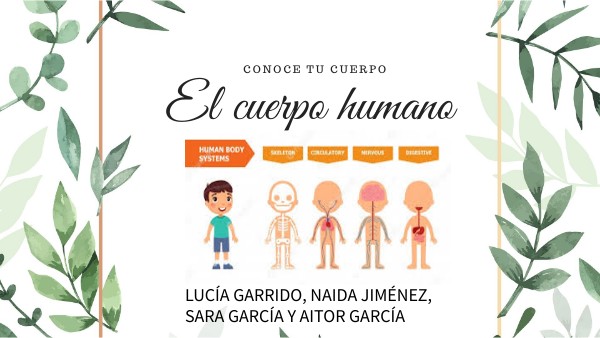 EL CUERPO HUMANO