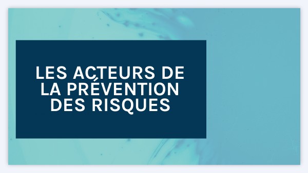 Les acteurs de la prévention des risques