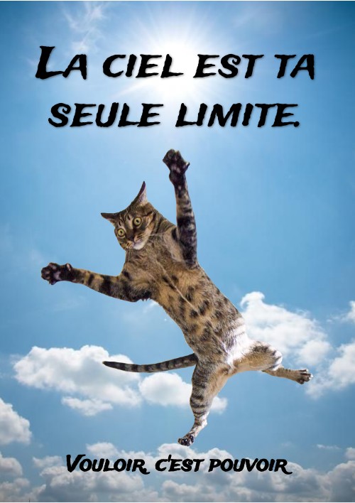 French wellness poster | Genially