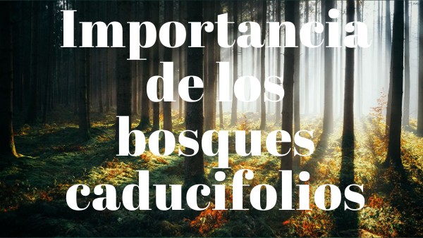 PRESENTACION DE LOS BOSQUES CADUCIFOLIOS | Genially