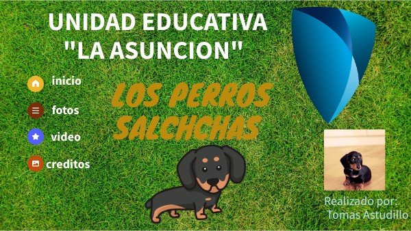 mi primera presentacion | Genially