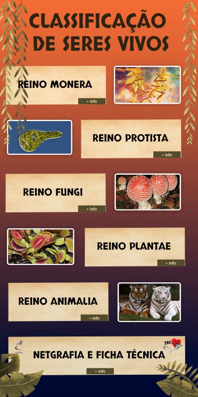 Classificação Dos Seres Vivos