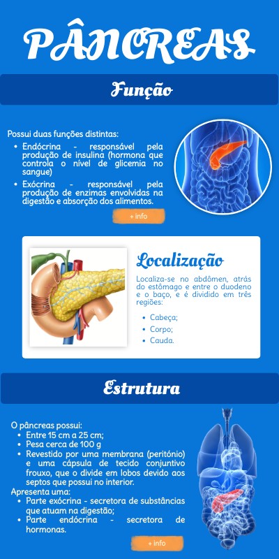 Info. Pâncreas