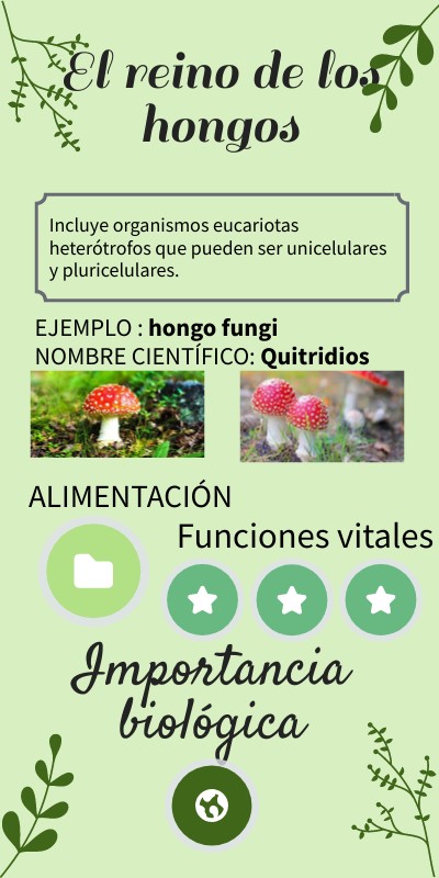 INFOgrafia reino hongo | Genially