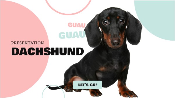 dachshund presentation | Genially