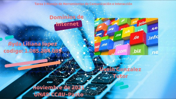 Presentación Dominios de Internet