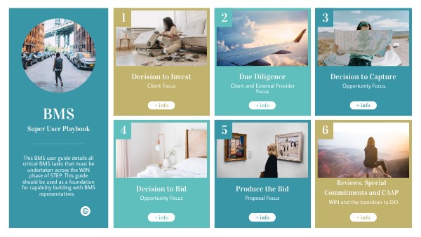 BMS Super-users WIN Playbook | Genially