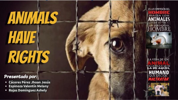 ANIMALS HAVE RIGHTS