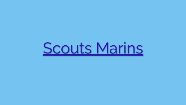 scout marins