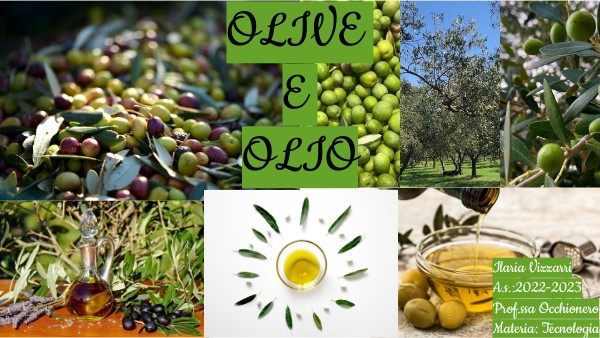 Olive e olio | Genially
