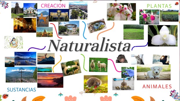 Copia - Naturalista