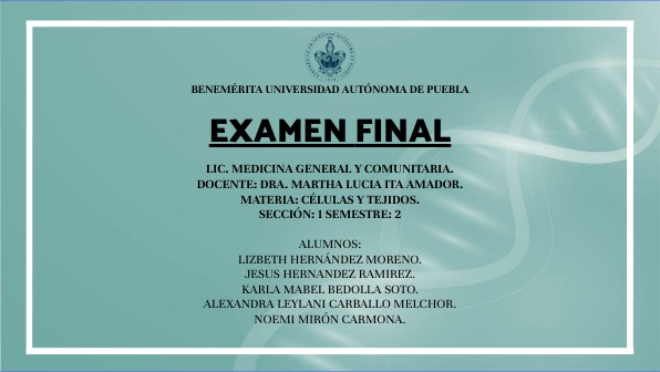 PORTAFOLIO-EXAMEN | Genially