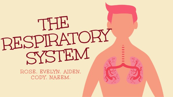 HUMAN BODY PRESENTATION