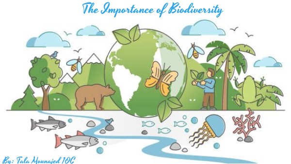 The Importance of Biodiversity | Genially