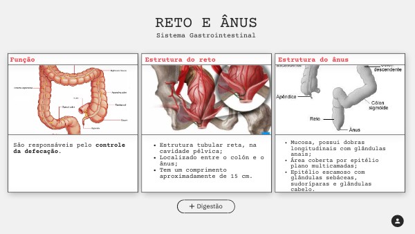 Sistema Gastrointestinal - Reto e Ânus | Genially