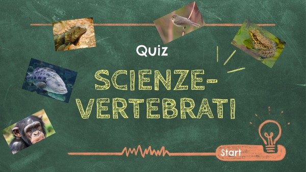 LAVORO DI SCIENZE-VERTEBRATI | Genially