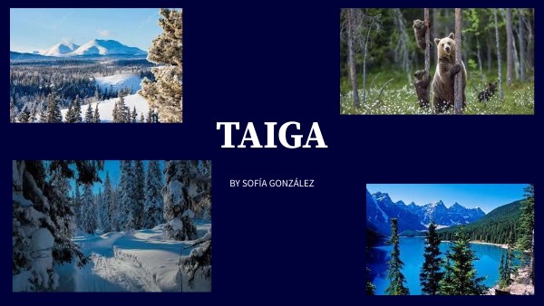 TAIGA
