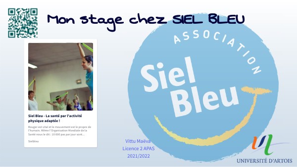 présentation stage SIEL BLEU | Genially