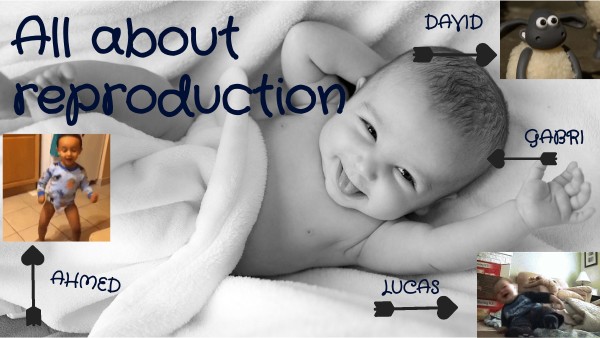 ALL ABOUT REPRODUCTION