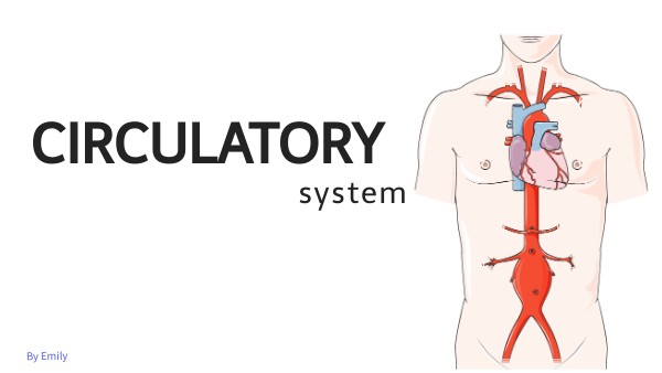 Circulatory system | Genially