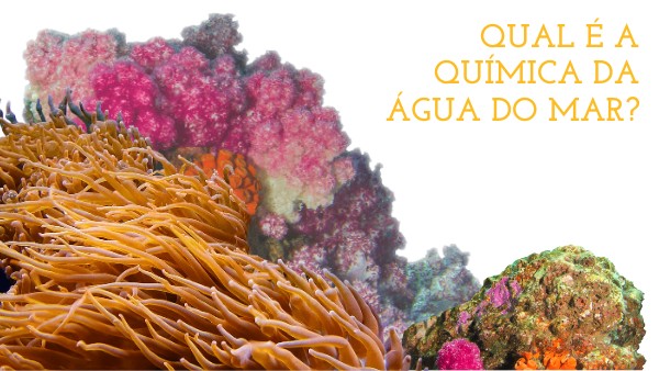 O mar e os seus iões | Genially