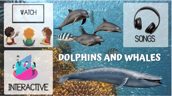 DOLPHINS AND WHALES-U1
