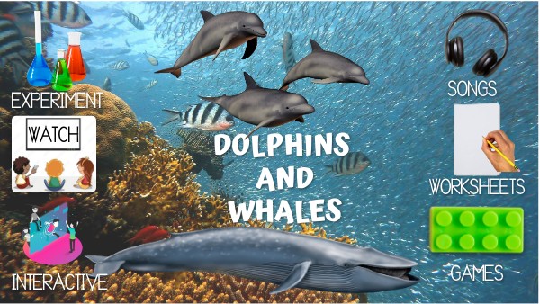 DOLPHINS AND WHALES