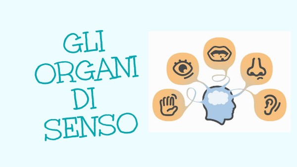 organi di senso | Genially