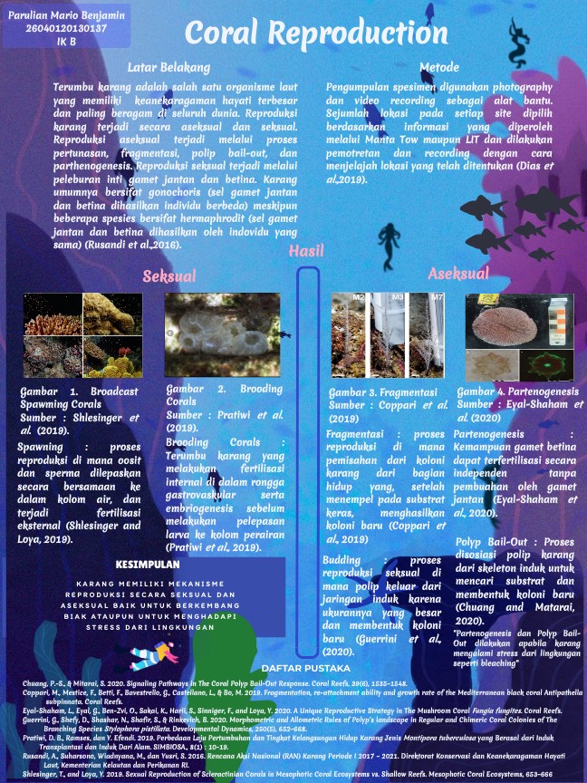 Coral Reproduction | Genially