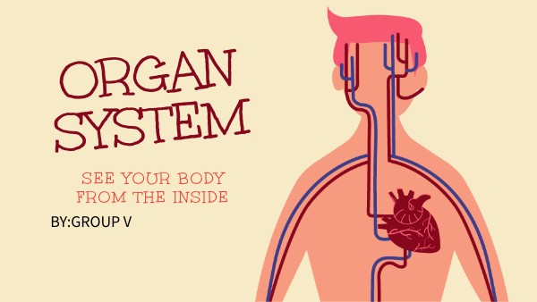 ORGAN SYSTEM