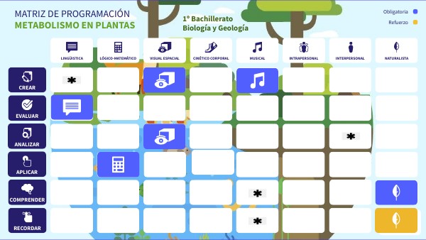 MATRIZ DE PROGRAMACIÓN
