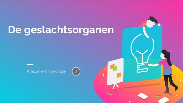 originele versie anatomie en fysiologie gonaden | Genially
