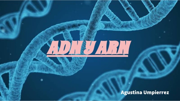 adn y arn | Genially