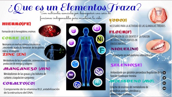 elementos trazas | Genially