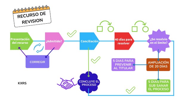 Recurso de revisión