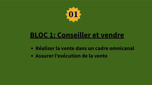 BLOC 1 : Conseiller et vendre | Genially
