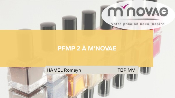 pfmp 2 e33