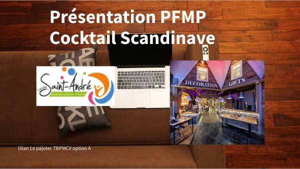 BASIC DOSSIER | Genially