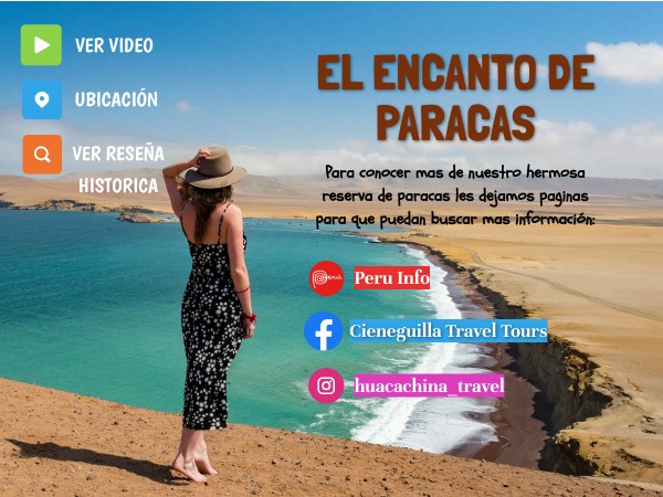 El encanto de paracas | Genially